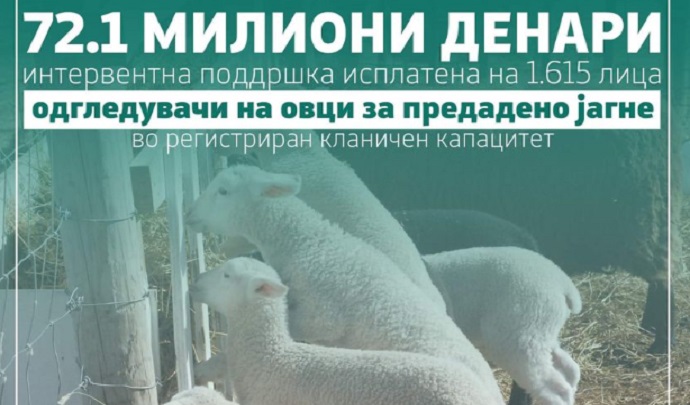 Исплатени 72.1 милиони денари поддршка за предадено јагне - Граѓански збор